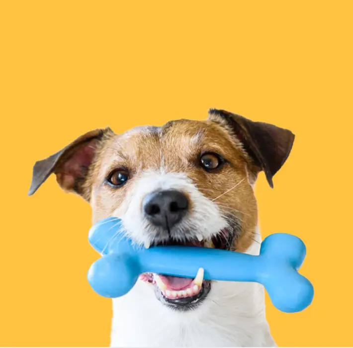 Home Mix – Hops Pets