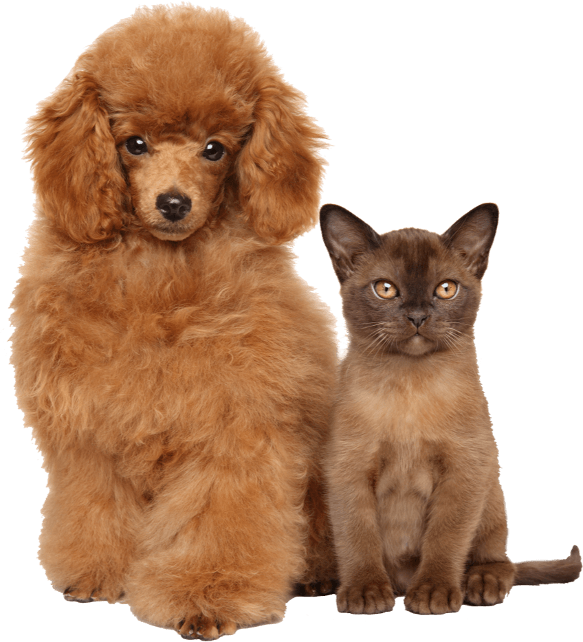 Home Mix – Hops Pets